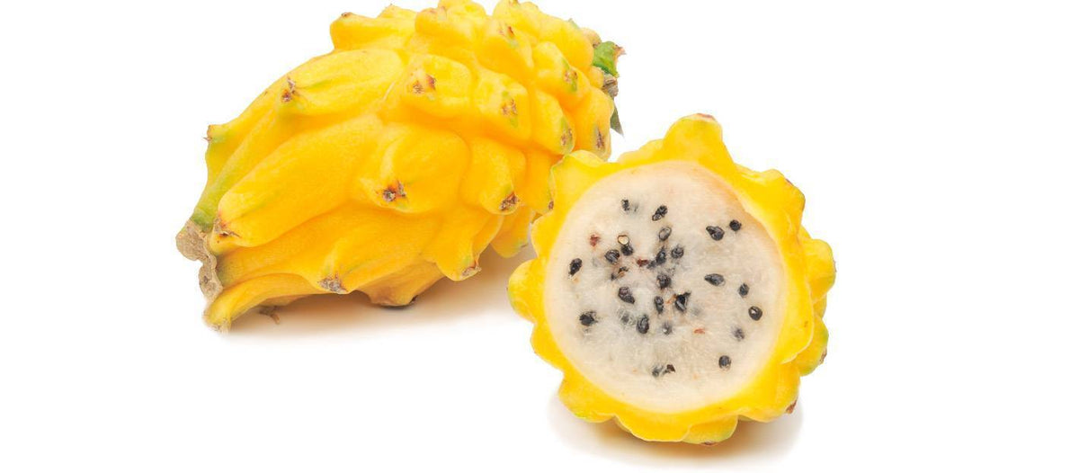 Buy Pithaya "Yellow Dragon Fruit" 500g in Dubai | Quali