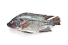 Buy Tilapia / Boulty - Whole cleaned 500g Online | Qual
